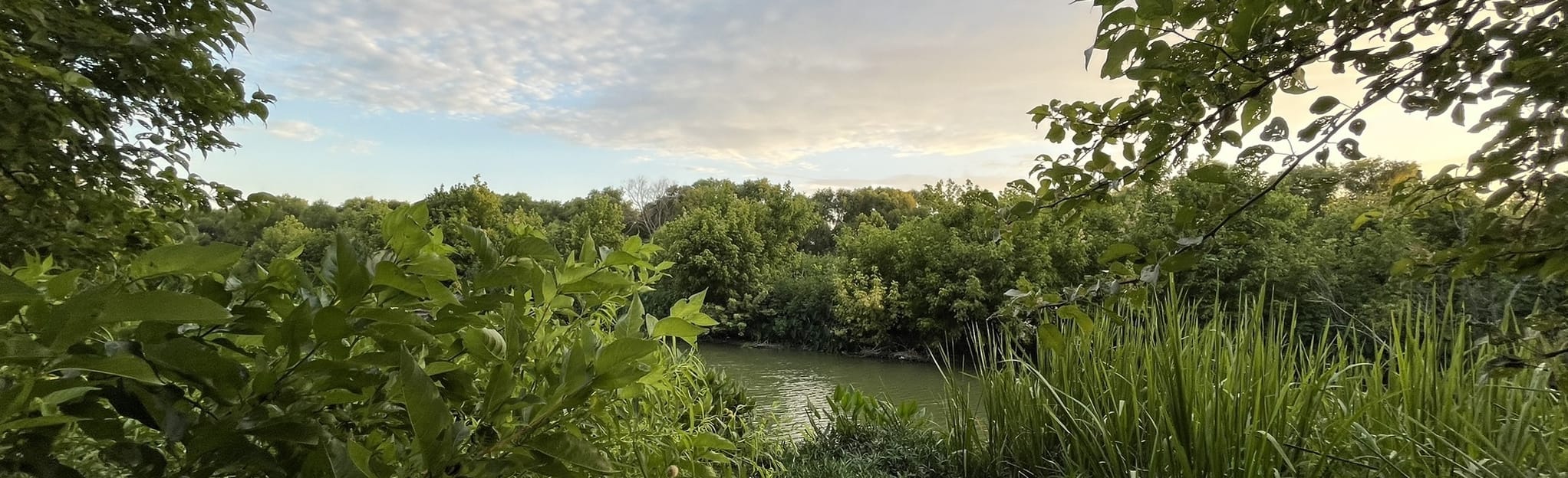 Rowlett Nature Trail: 164 Reviews, Map - Texas | AllTrails