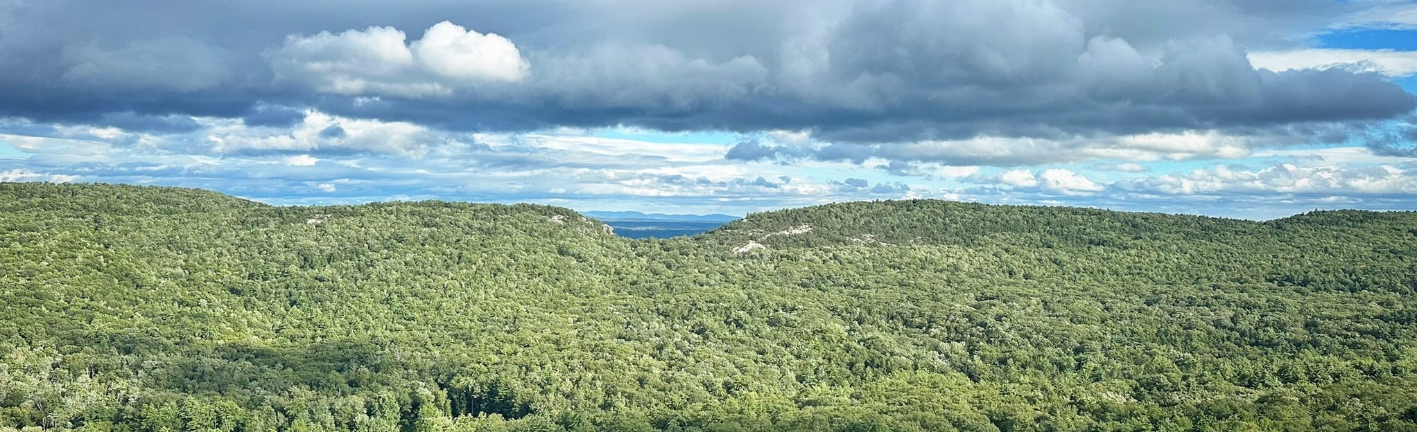 Lost City Escarpment Loop, New York - 409 Reviews, Map | AllTrails