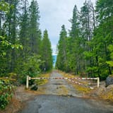 Kalama Falls Trail, Washington - 516 Reviews, Map | AllTrails