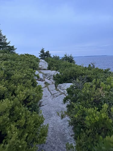 Best Hikes and Trails in Whycocomagh Provincial Park | AllTrails