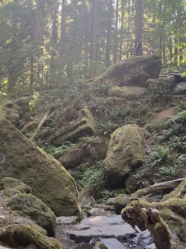 Best Hikes and Trails in Cascadia State Park | AllTrails