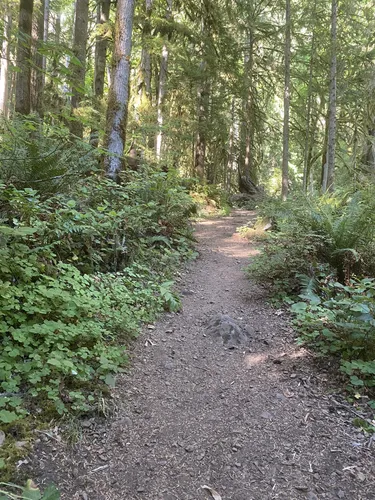 Best Hikes and Trails in Cascadia State Park | AllTrails
