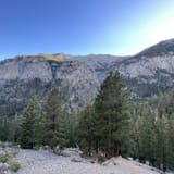 Mary Jane Falls Trail [CLOSED], Nevada - 4,746 Reviews, Map | AllTrails