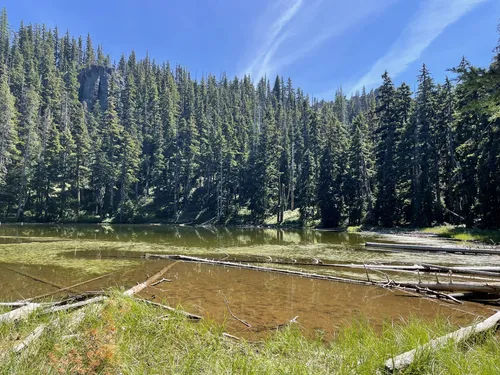 2023 Best Moderate Trails in Badger Creek Wilderness | AllTrails