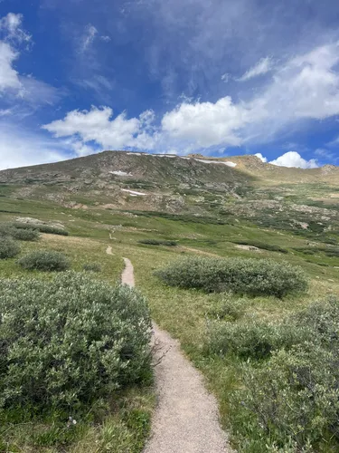 Best 10 Hikes and Trails in Mount Massive Wilderness | AllTrails