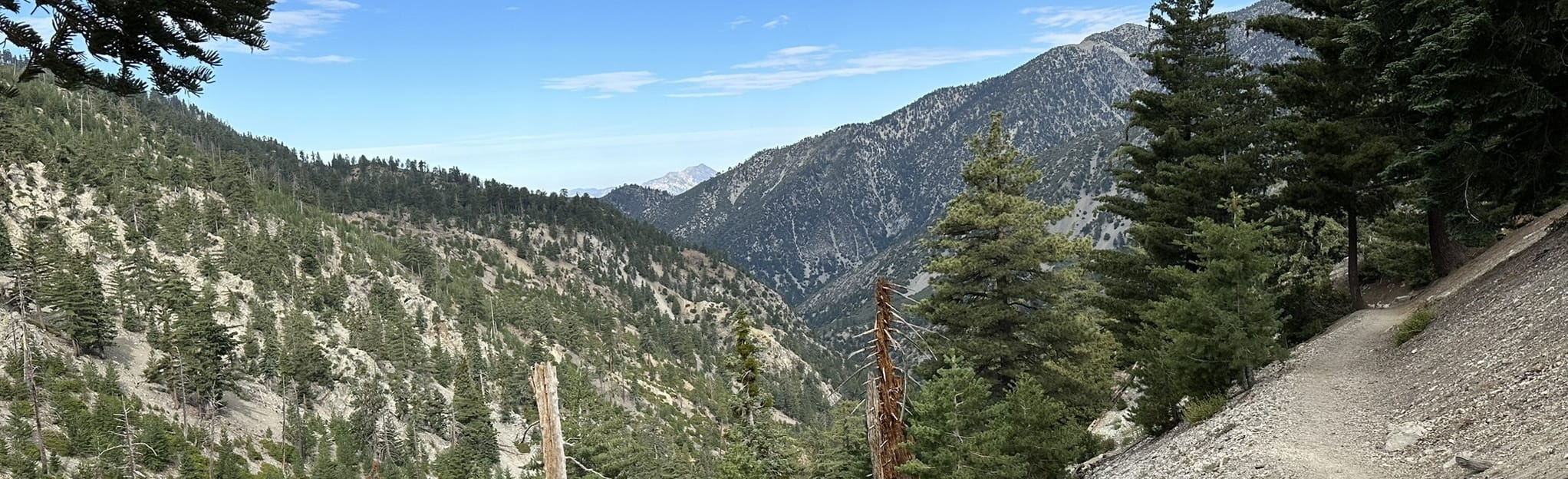 Ice House Canyon Trail, California - 1,655 Reviews, Map | AllTrails