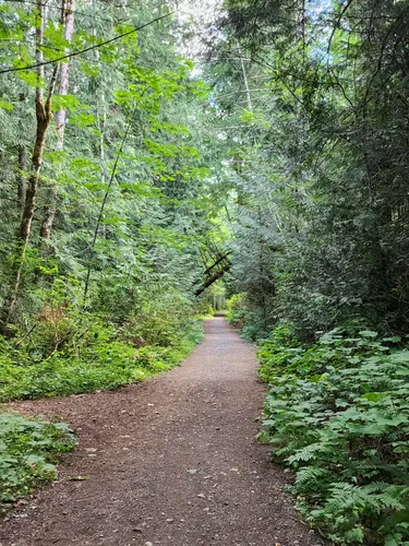 2023 Best Long Trails in Bremerton | AllTrails