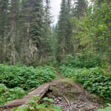 Bisaro Cave via Heiko's Trail, British Columbia, Canada - 69 Reviews ...