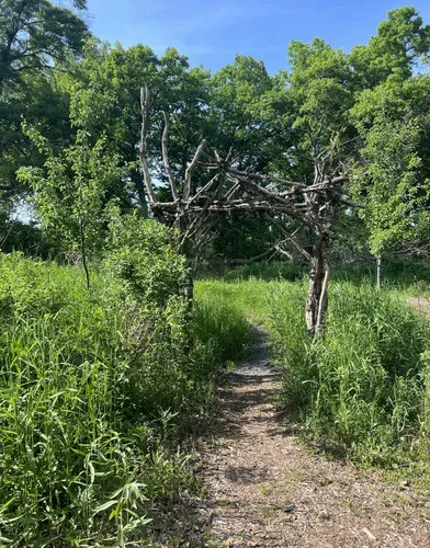 Best Hikes and Trails in Oakdale Park Preserve | AllTrails