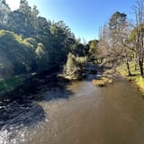 Warburton River Walk, Victoria, Australia - 209 Reviews, Map | AllTrails