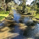 Warburton River Walk, Victoria, Australia - 209 Reviews, Map | AllTrails