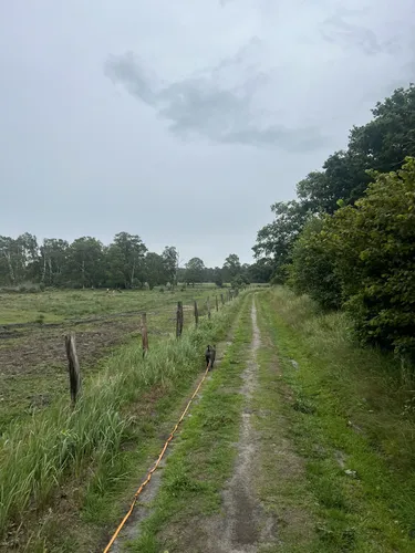 Best Camping Trails in Borrby | AllTrails