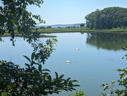 Best Hikes and Trails in Mashomack Preserve | AllTrails