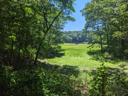 Best Hikes and Trails in Mashomack Preserve | AllTrails