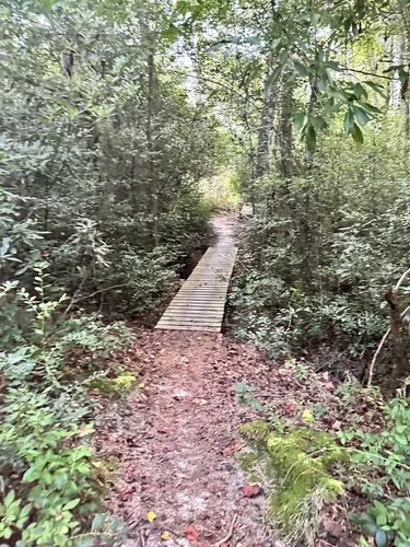 2023 Best Easy Trails in Spring Lake | AllTrails