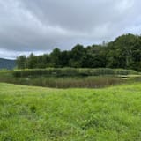 Shavertown Trail, New York - 275 Reviews, Map | AllTrails