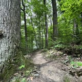 West Branch State Park Loop, Ohio - 422 Reviews, Map | AllTrails