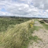 Farlington Marshes and Point Field Circular, Hampshire, England - 238 ...
