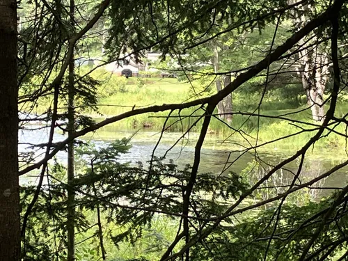 Best Hikes and Trails in Bear Pond Natural Area | AllTrails