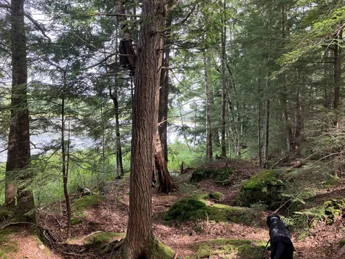 Best Hikes and Trails in Bear Pond Natural Area | AllTrails