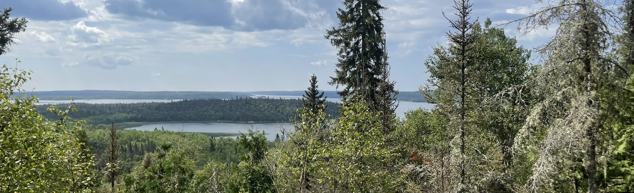 Opasatica Lake Loop (Red and Yellow) via Green Bay Road: 98 foto's ...