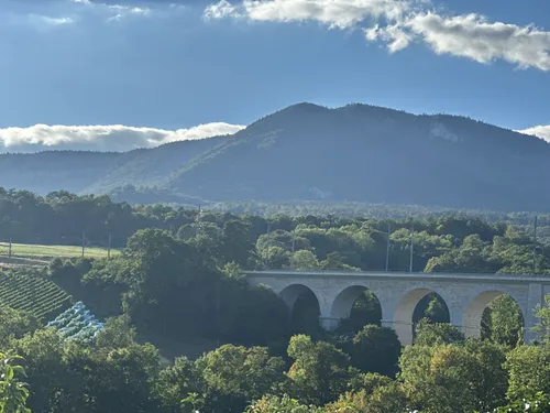 Best Forest Trails in Boudry | AllTrails