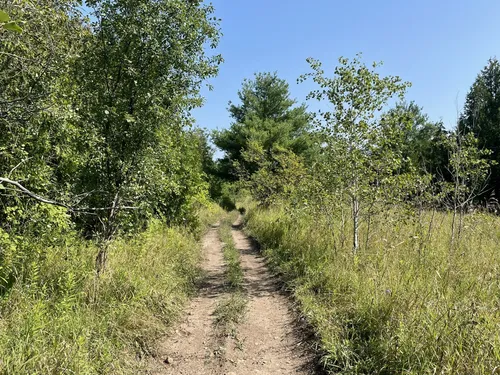 Best Mountain Biking Trails in Cambridge | AllTrails