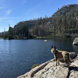 Lake Margaret Trail, California - 994 Reviews, Map | AllTrails
