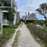 Sconset Bluff Path, Massachusetts - 315 Reviews, Map | AllTrails