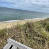 Sconset Bluff Path, Massachusetts - 315 Reviews, Map | AllTrails
