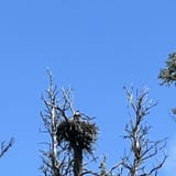 Whits Lakes Spring, Montana - 142 Reviews, Map | AllTrails