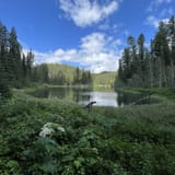 Whits Lakes Spring, Montana - 142 Reviews, Map | AllTrails