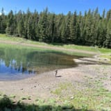 Whits Lakes Spring, Montana - 142 Reviews, Map | AllTrails