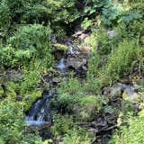 Whits Lakes Spring, Montana - 142 Reviews, Map | AllTrails