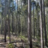 Whits Lakes Spring, Montana - 142 Reviews, Map | AllTrails