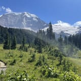 Mount Rainier Northern Loop Trail, Washington - 122 Reviews, Map ...