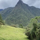 Cocora Valley Loop, Quindío, Colombia - 201 Reviews, Map | AllTrails