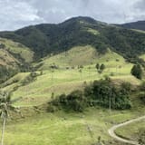 Cocora Valley Loop, Quindío, Colombia - 201 Reviews, Map | AllTrails