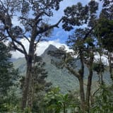 Cocora Valley Loop, Quindío, Colombia - 201 Reviews, Map | AllTrails