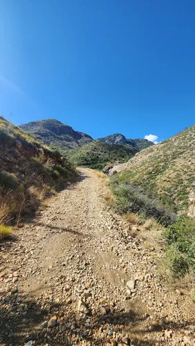 Best Hikes and Trails in Mount Graham Wilderness | AllTrails