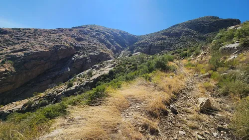 Best Hikes and Trails in Mount Graham Wilderness | AllTrails