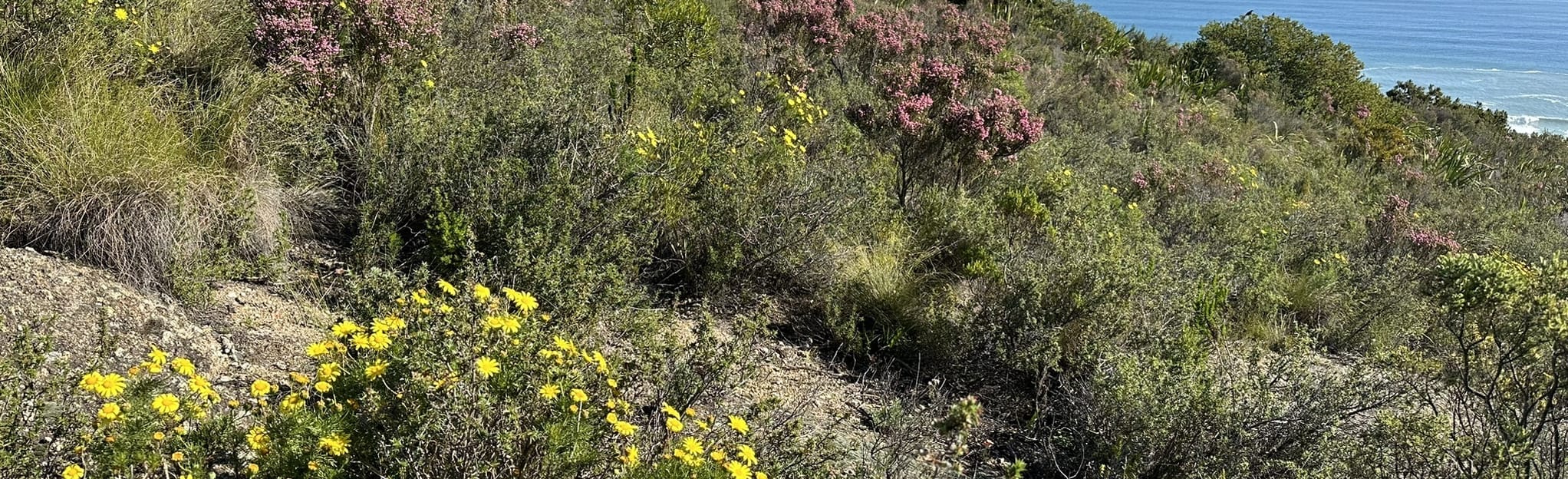 Kloof Corner to Silverstream Waterfall via the Contour Path, Western ...