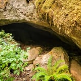 Santiam Wagon Road to House Rock, Oregon - 447 Reviews, Map | AllTrails