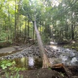 Frye Mountain via Georges Highland Path, Maine - 40 Reviews, Map ...