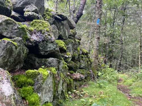 Best Hikes and Trails in Frye Mountain State Game Management Area ...