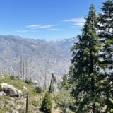 Boole Tree Loop, California - 170 Reviews, Map | AllTrails