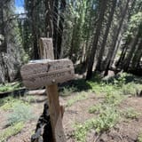Boole Tree Loop, California - 170 Reviews, Map | AllTrails