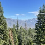 Boole Tree Loop, California - 170 Reviews, Map | AllTrails