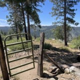 Boole Tree Loop, California - 170 Reviews, Map | AllTrails