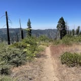 Boole Tree Loop, California - 170 Reviews, Map | AllTrails